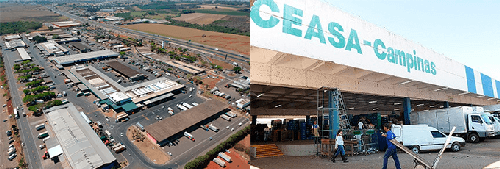 CEASA CAMPINAS - Ceasa.net.br